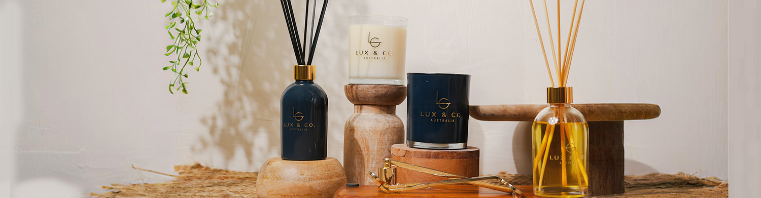 Explore By Scent